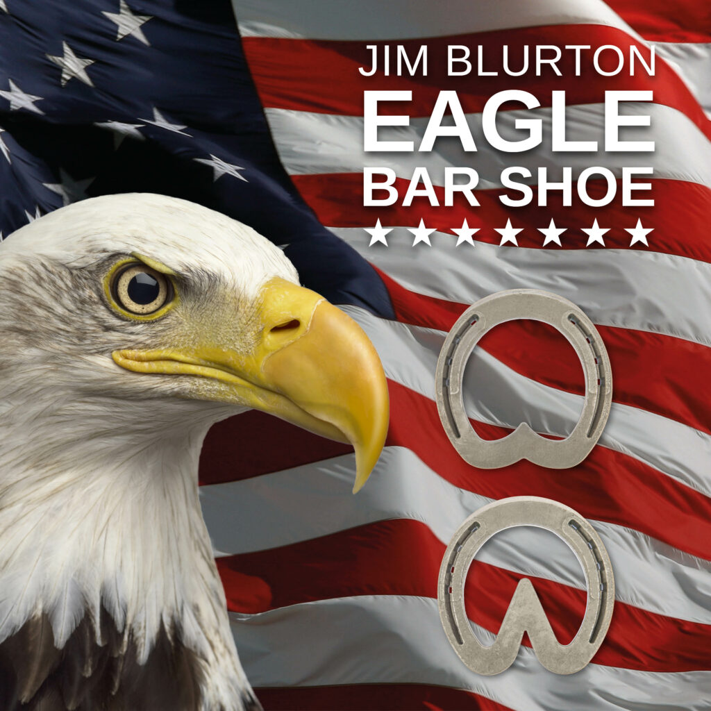 Eagle Straight Bar Horseshoes - available worldwide online